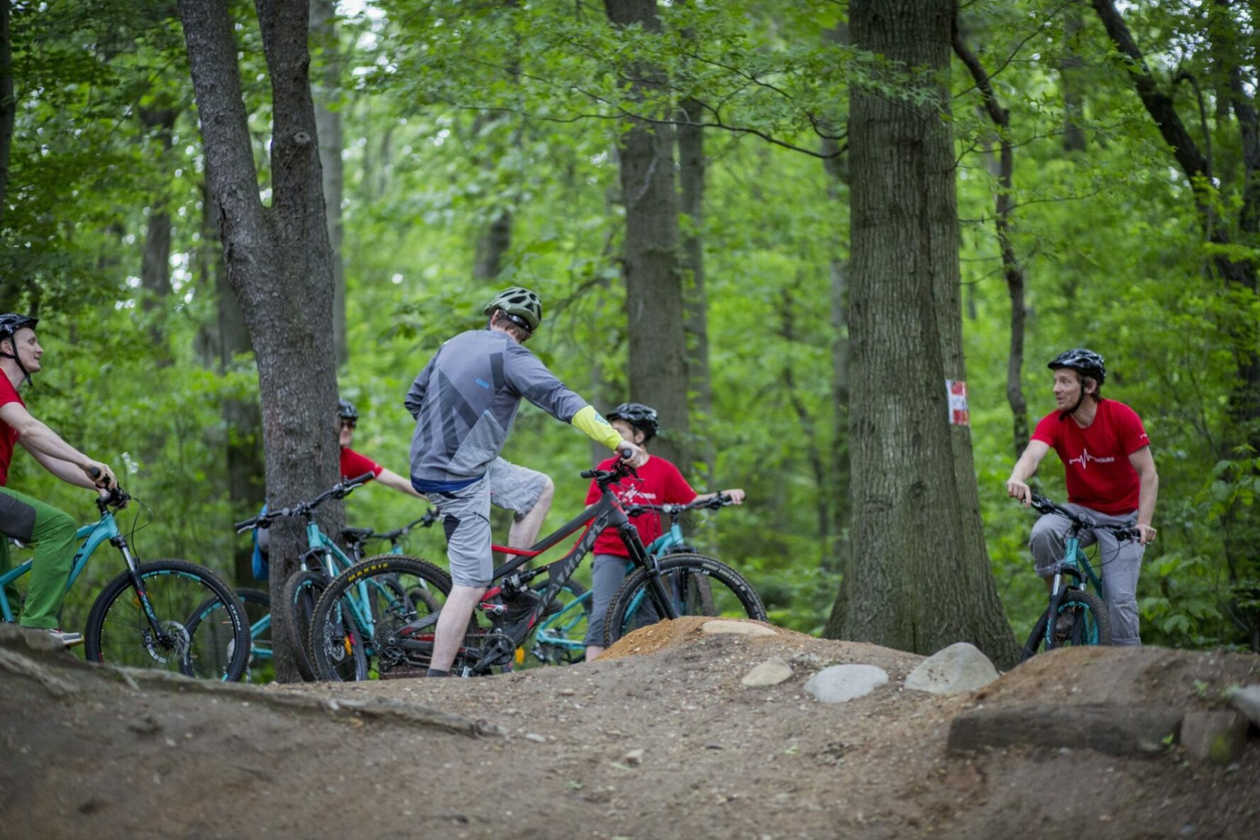 Mountain Biking for Beginners in Queens