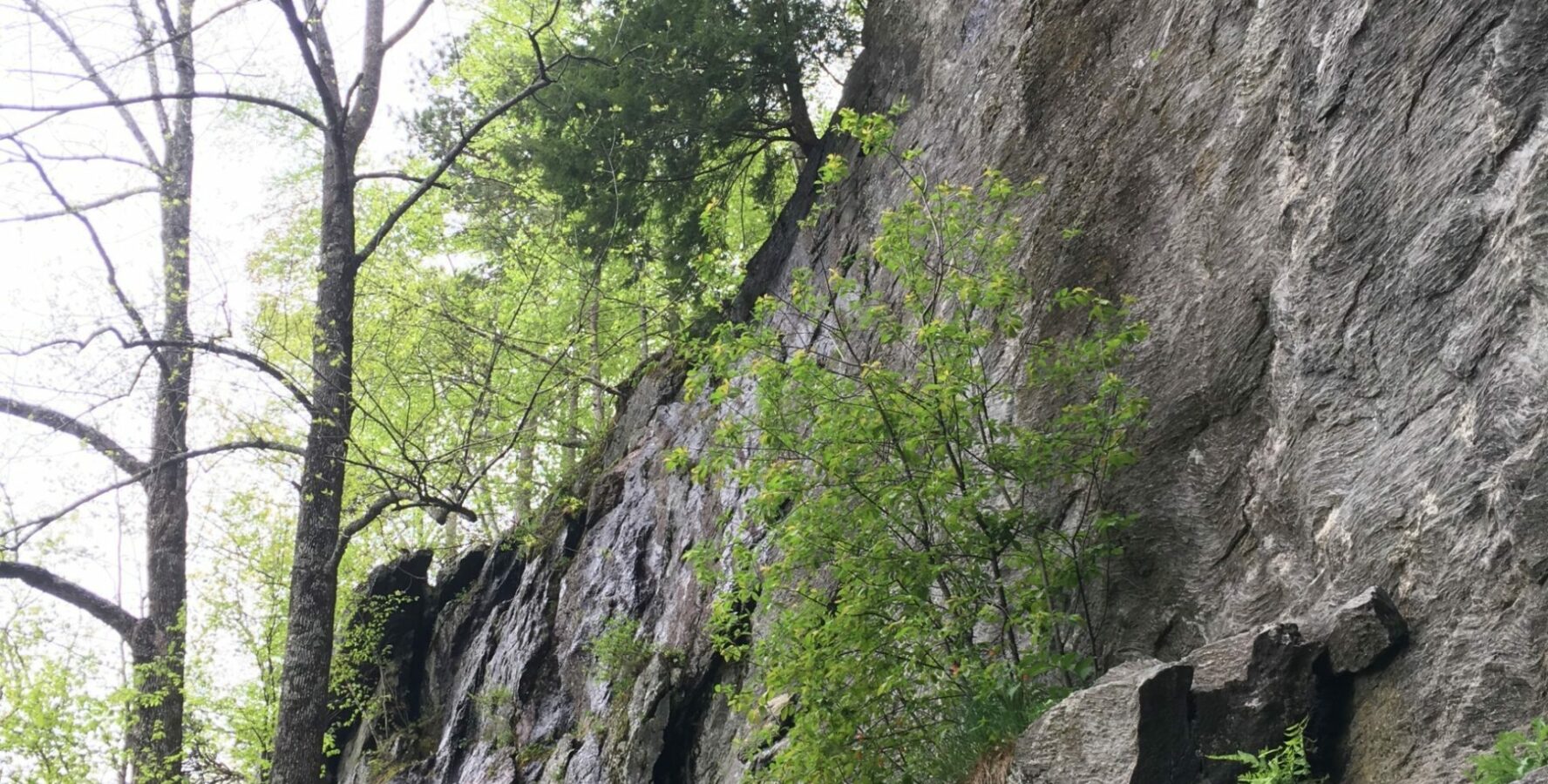 Best Climbing Walls at Rumney, New Hampshire | 57hours