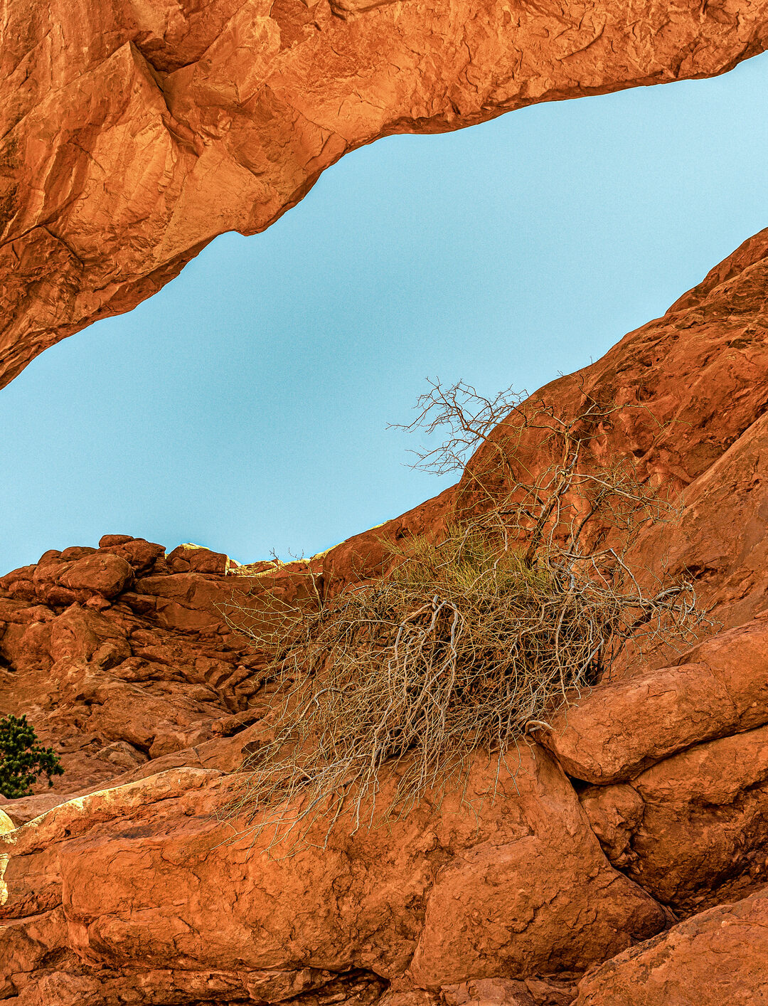 Guided Rock Climbing in Moab, Utah | 57hours