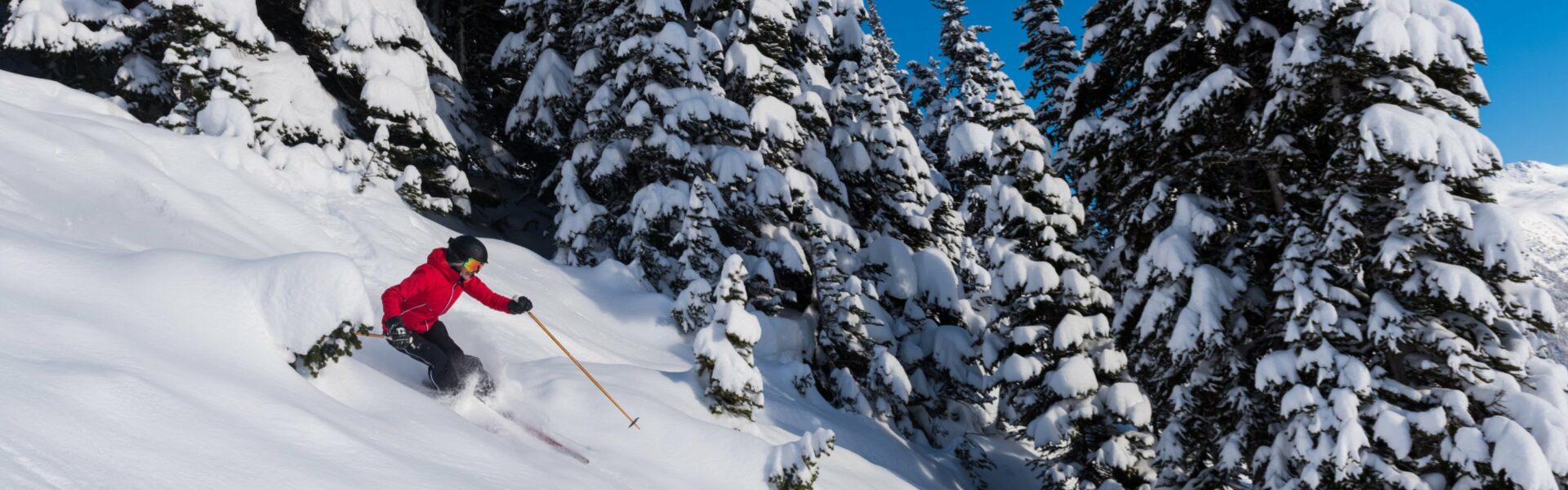 Where to Find The Best Backcountry Skiing in Rogers Pass
