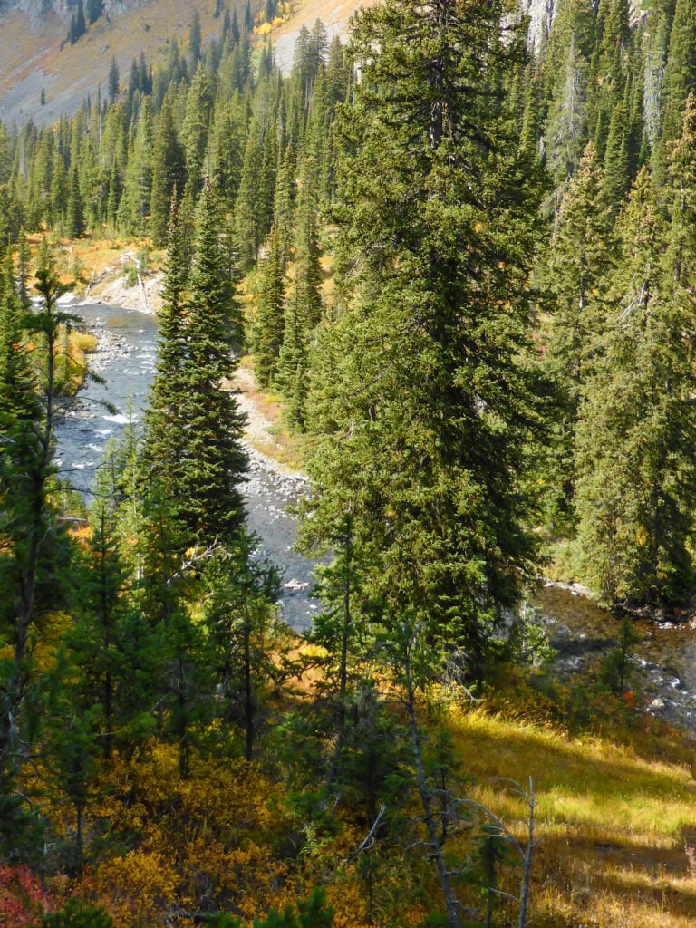 Hike Bechler River Trail in Yellowstone National Park | 57hours