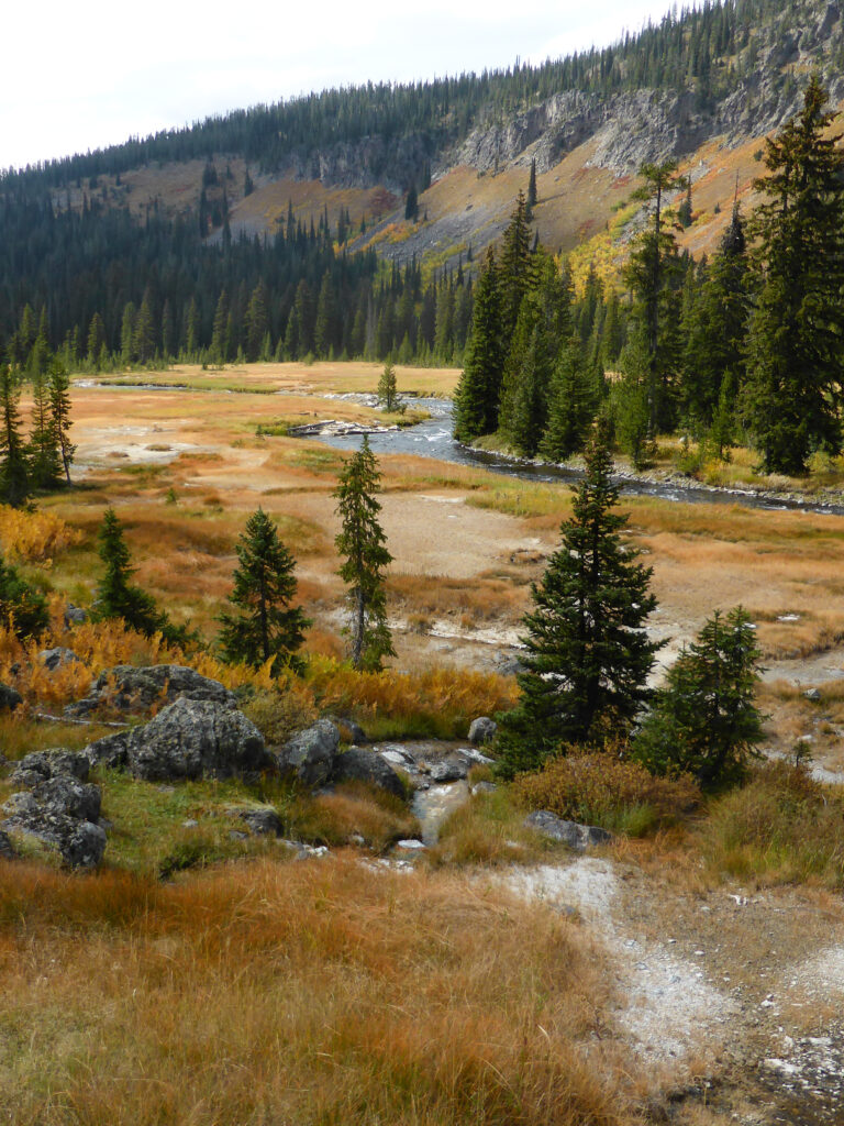 Hike Bechler River Trail in Yellowstone National Park | 57hours