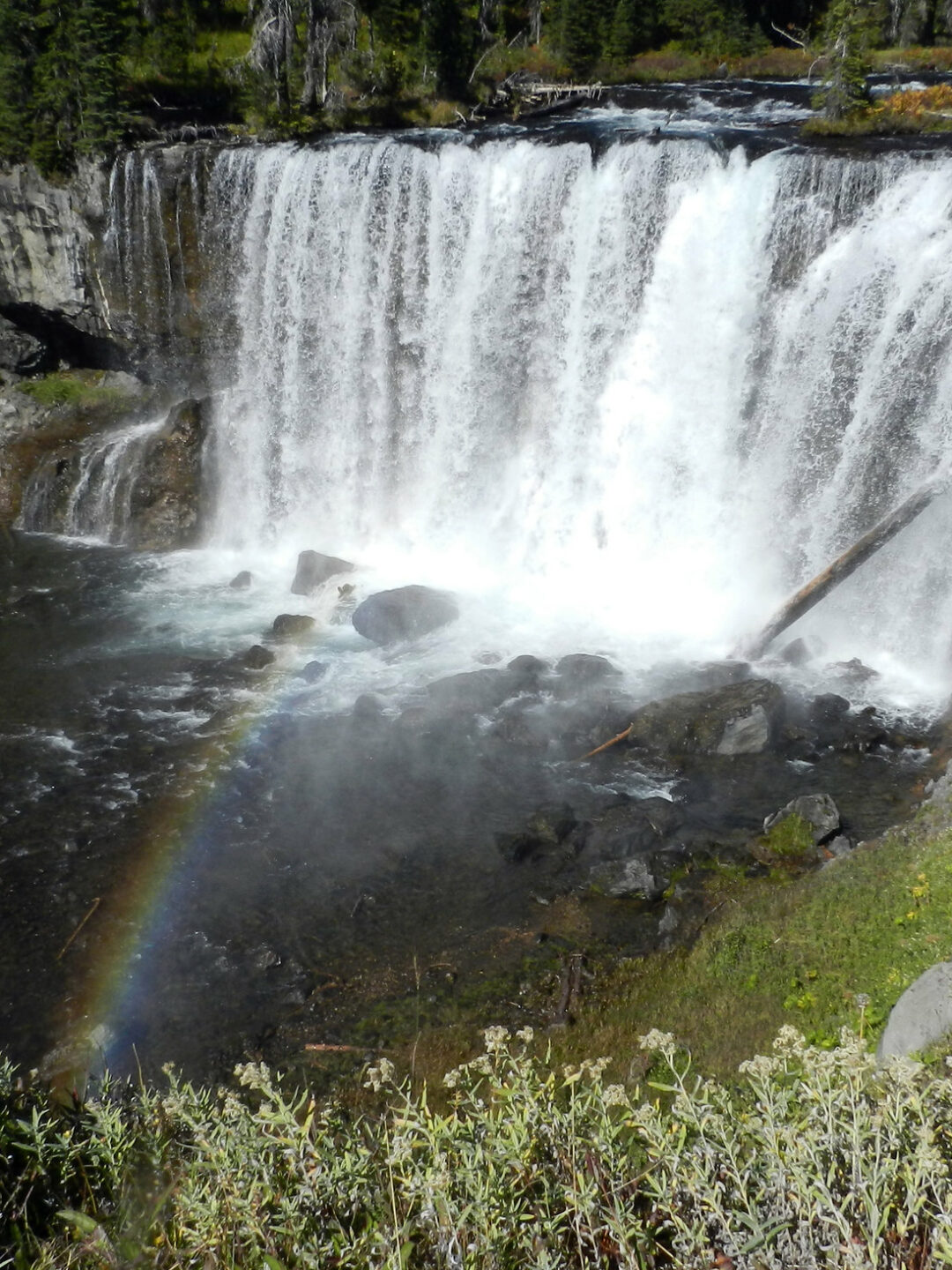 Hike Bechler River Trail in Yellowstone National Park | 57hours