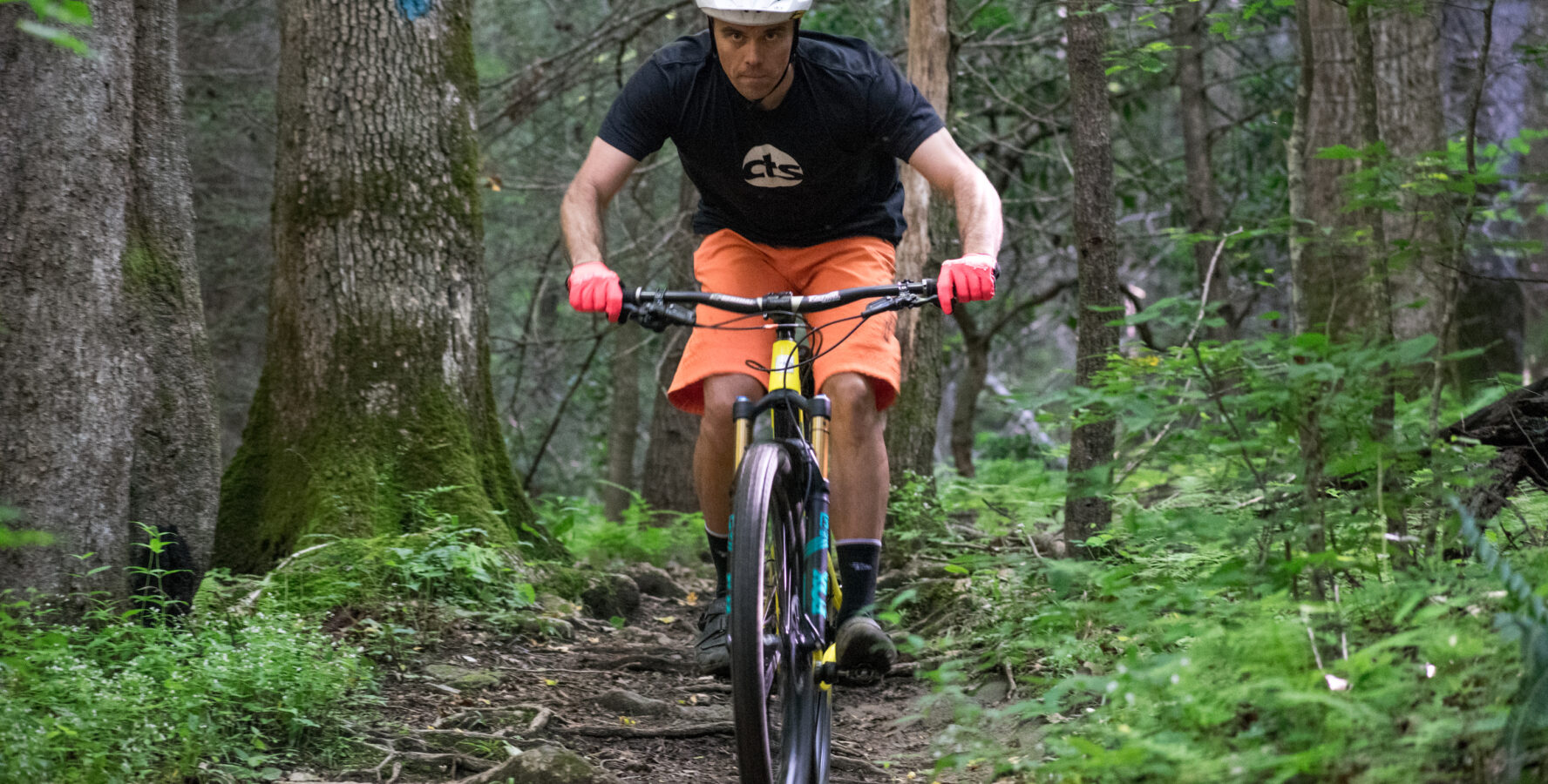 The 4 Best Trails for Mountain Biking in North Carolina