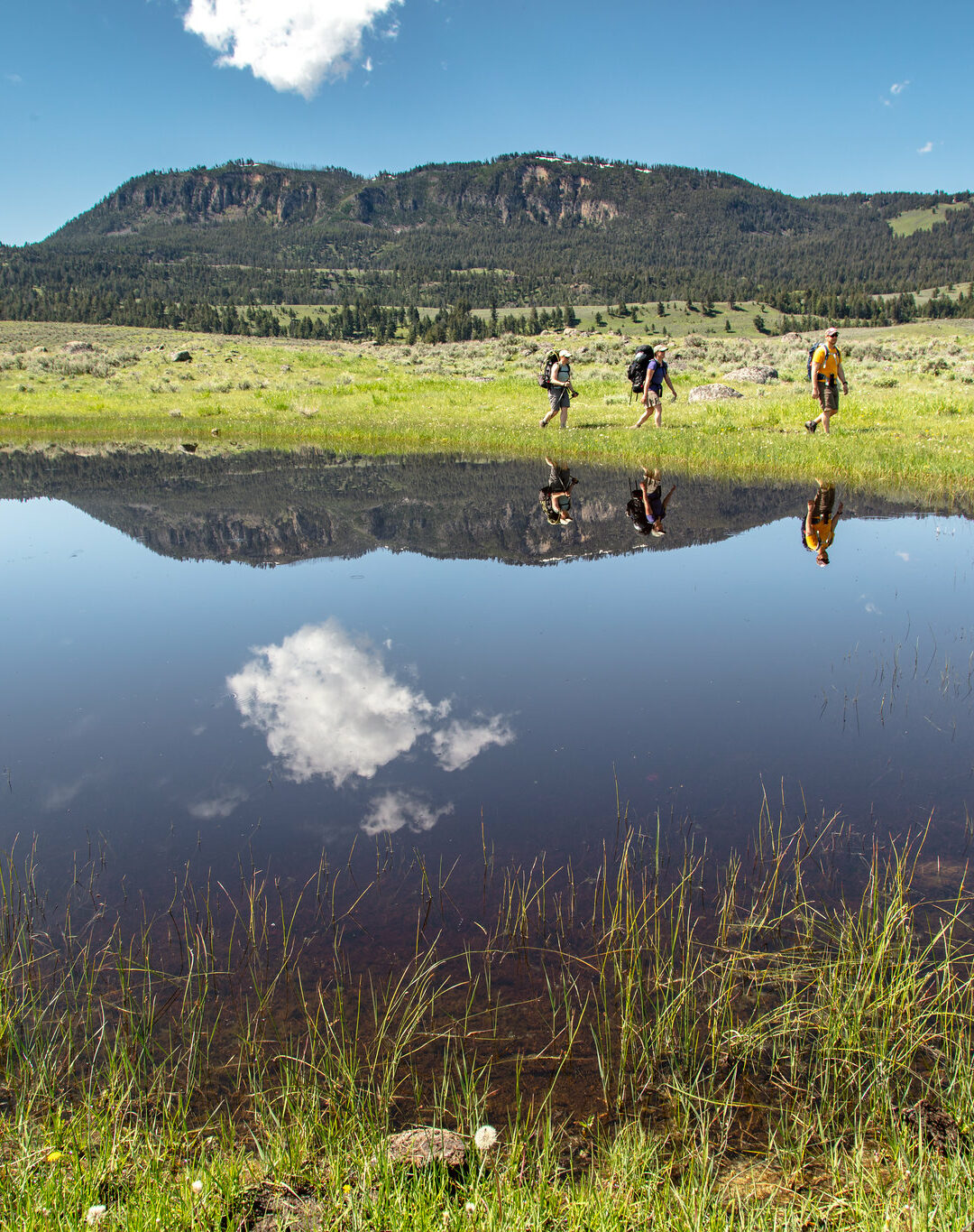 Guided Backpacking Trip in Yellowstone National Park | 57hours
