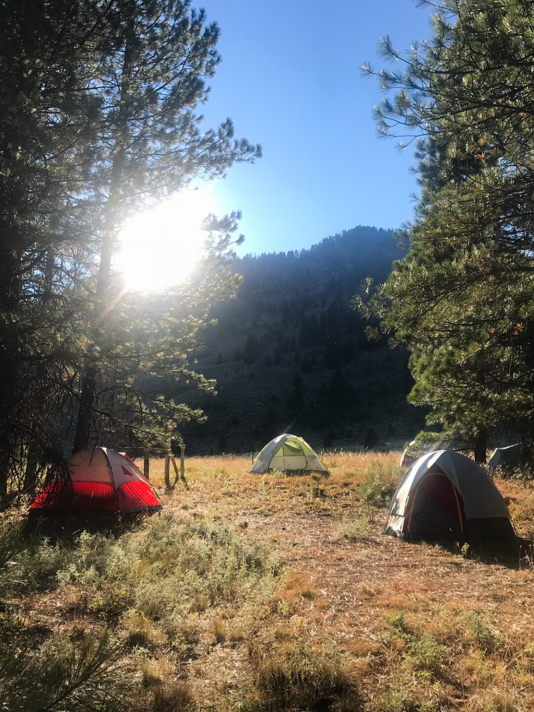Guided Backpacking Trip in Yellowstone National Park | 57hours