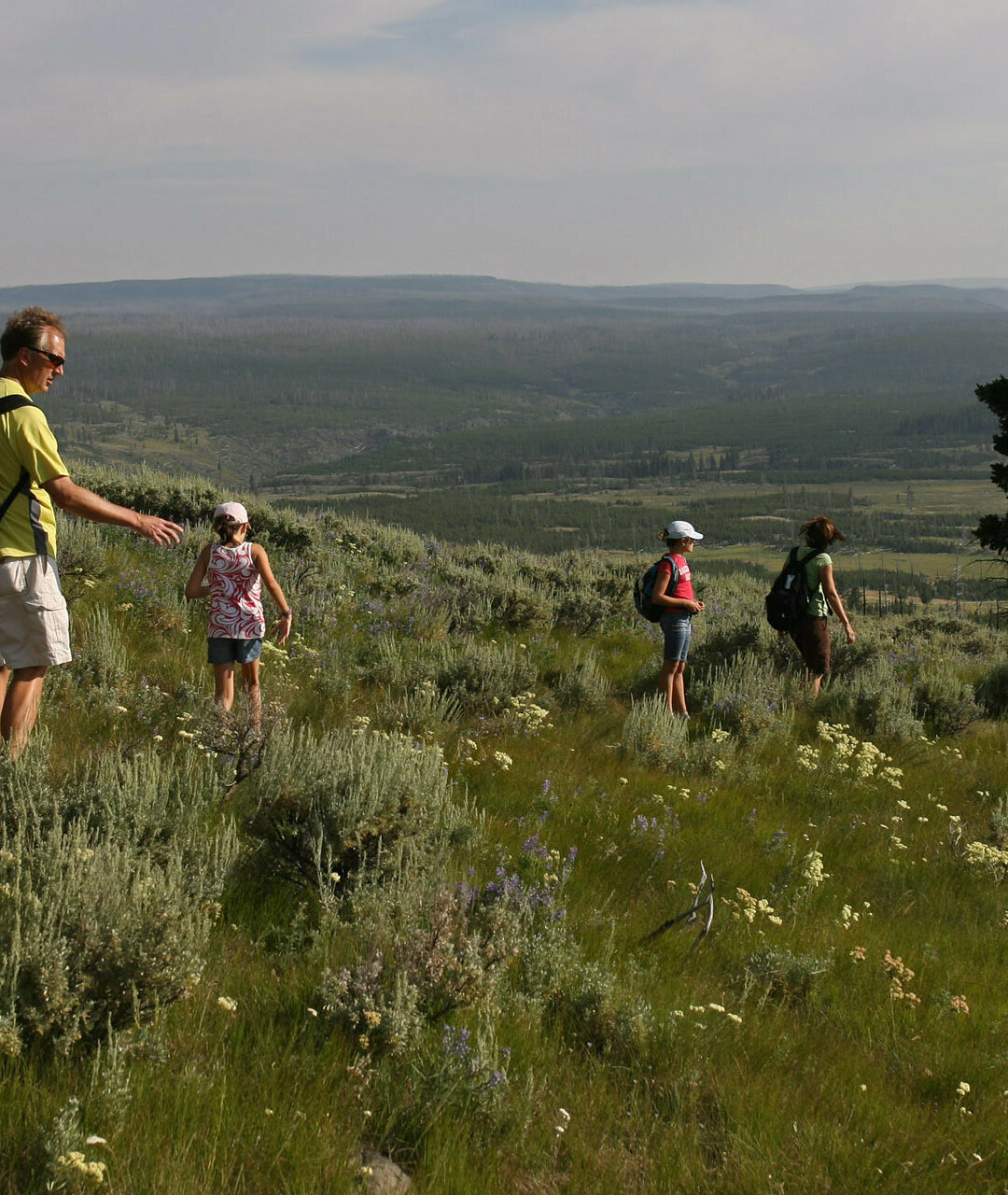 Guided Backpacking Trip in Yellowstone National Park | 57hours