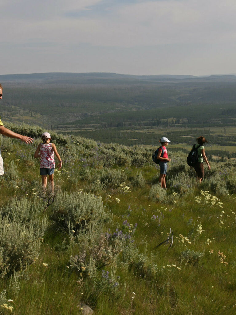 Guided Backpacking Trip in Yellowstone National Park | 57hours
