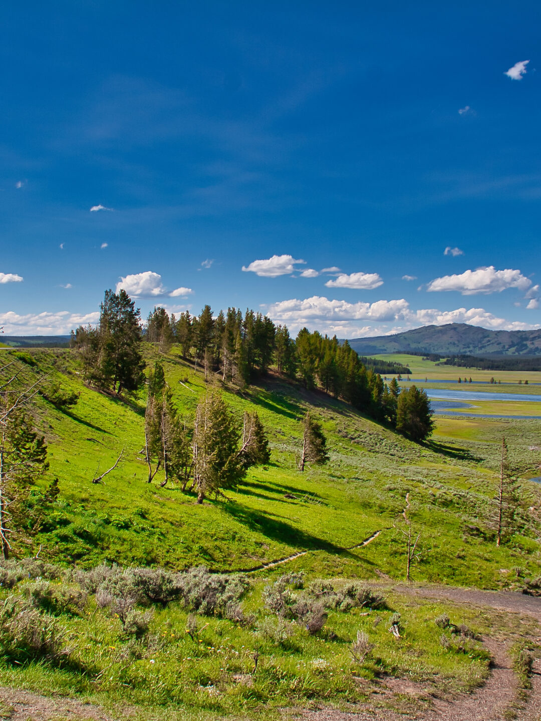 Guided Backpacking Trip in Yellowstone National Park | 57hours