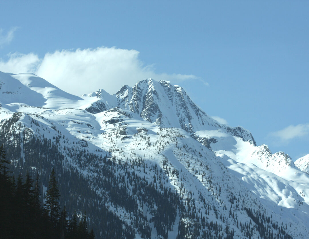 Rogers Pass, BC Backcountry Skiing - Guided Tours | 57hours