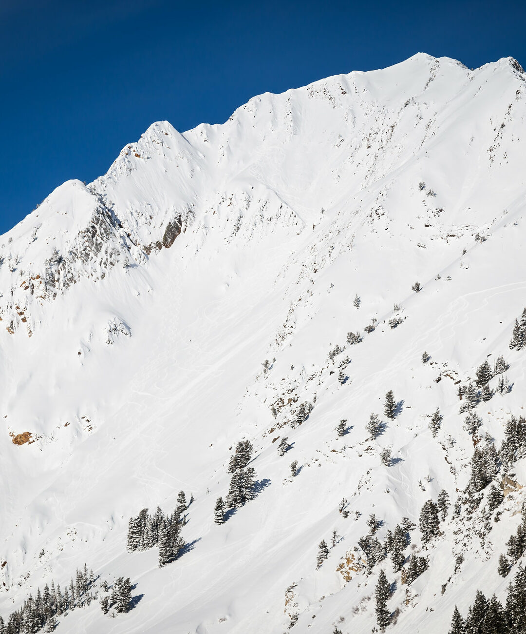 Mount Superior Backcountry Skiing - Guided Tours | 57hours