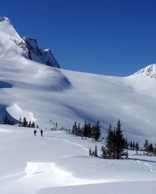 Backcountry Skiing at Valhalla Mountain Lodge, BC | 57hours