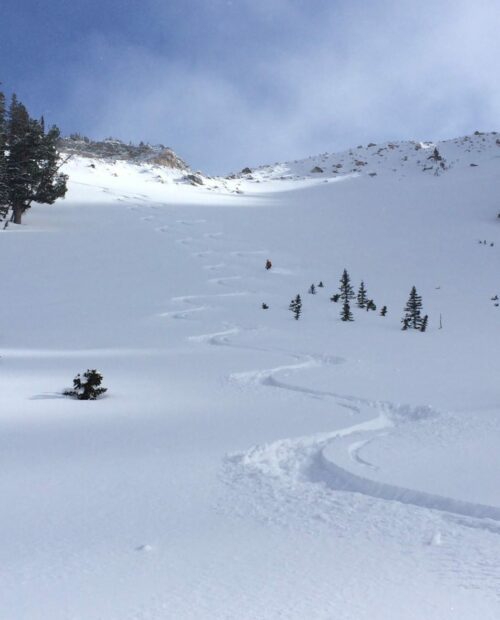 Guided Adventures in Grand Teton National Park | 57hours