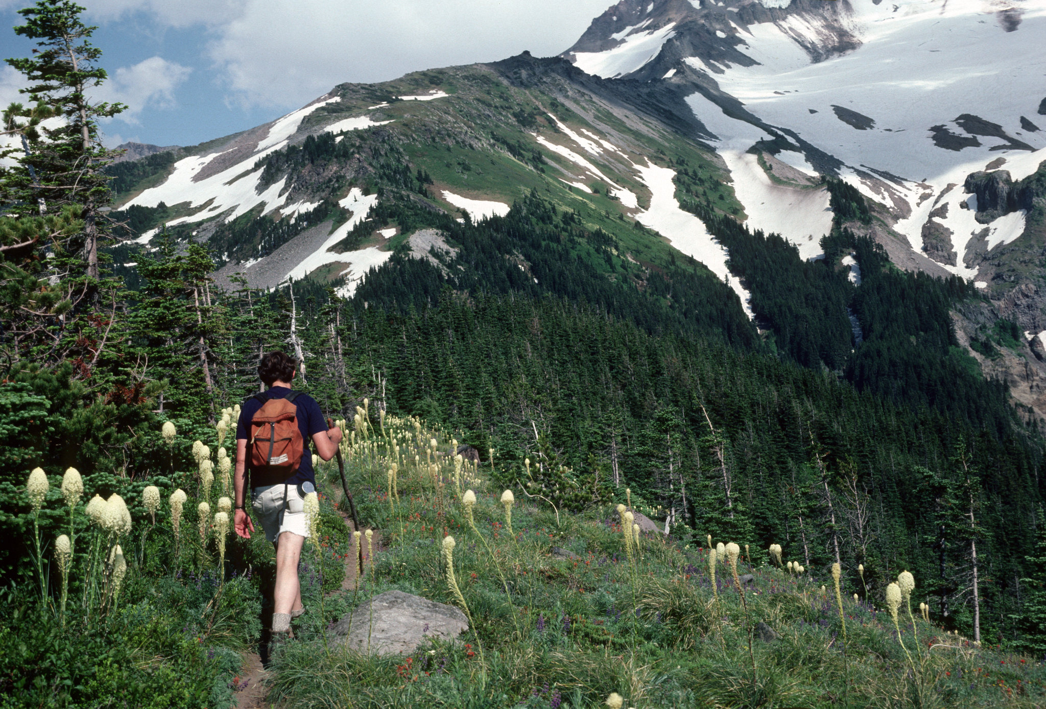 Hiking the Pacific Crest Trail in Portland, OR | 57hours