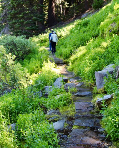 Hiking the Pacific Crest Trail in Portland, OR | 57hours