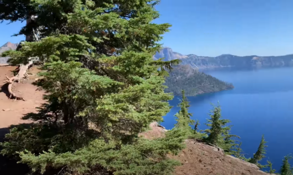 Hiking the Pacific Crest Trail in Portland, OR | 57hours