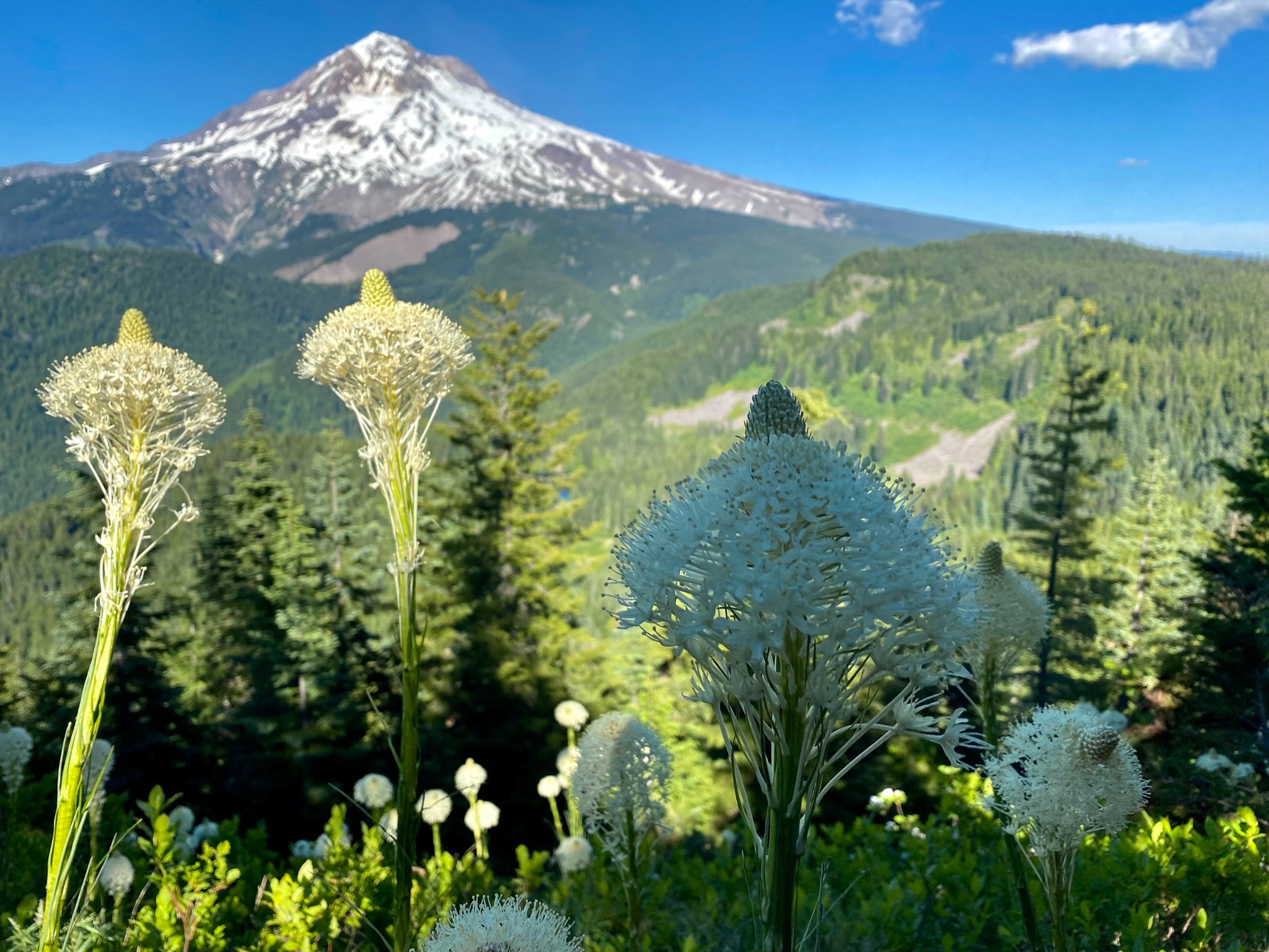 Pacific Crest Trail Oregon Hiking and Backpacking Tour | 57hours