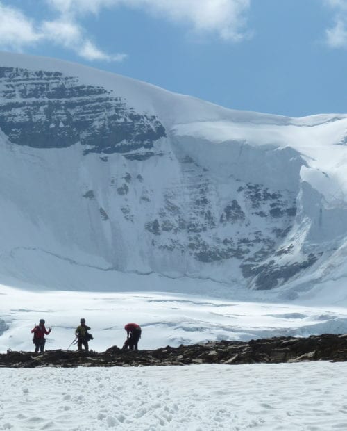Canadian Rockies Alpine Climbing - Guided Day Tour | 57hours