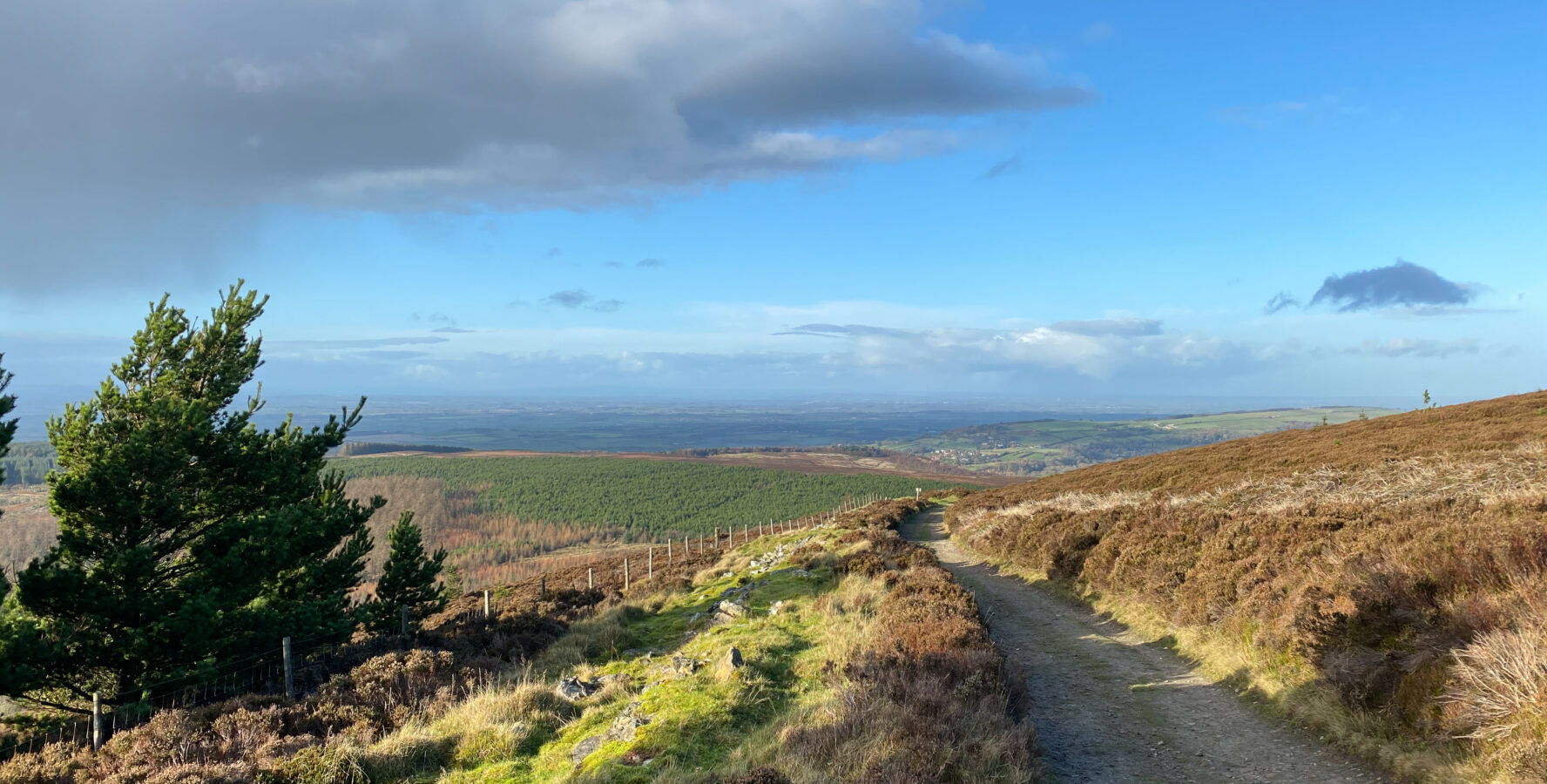 Top 7 North York Moors Walks To Explore | 57hours