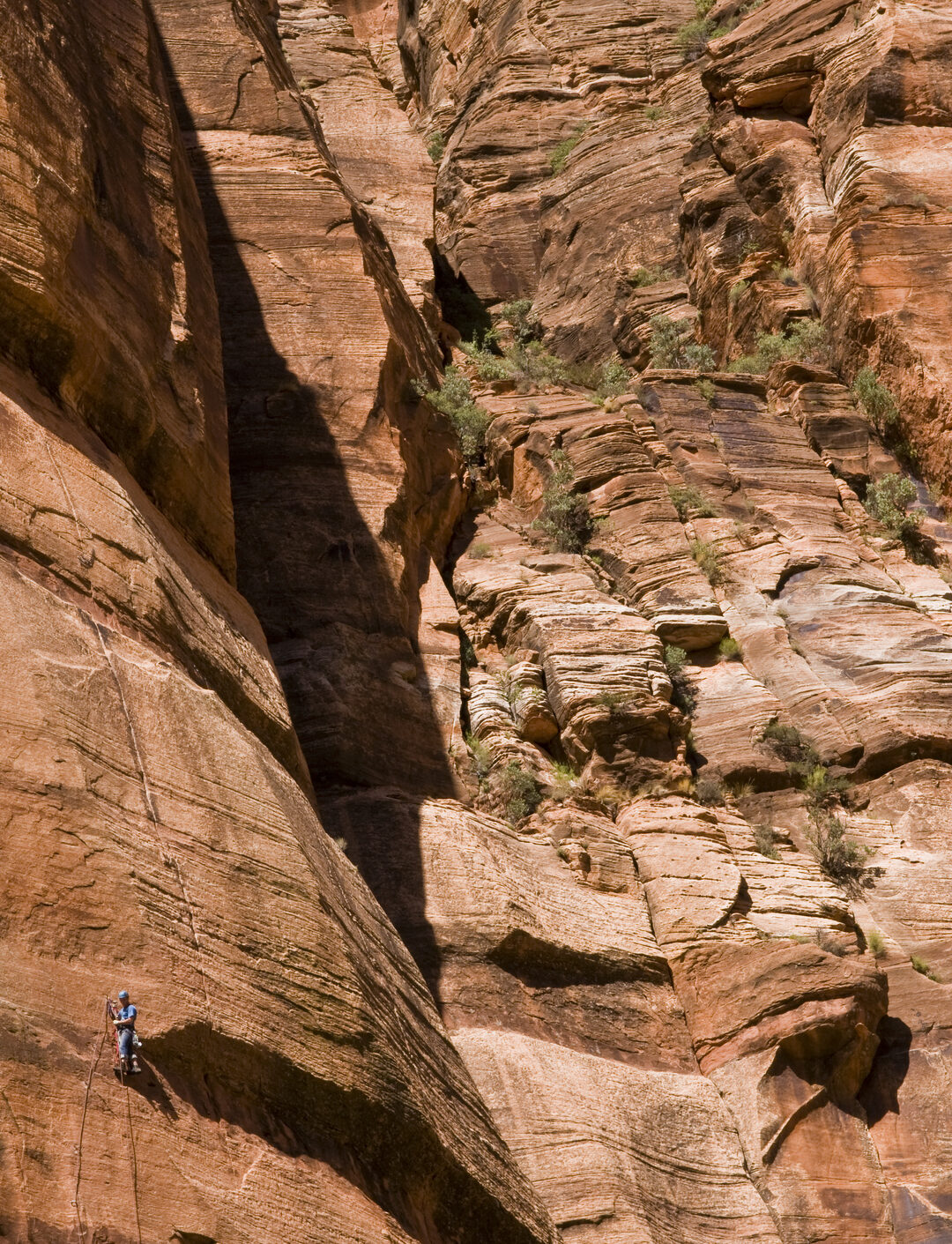 Rock Climbing Zion National Park - Guided Tours | 57hours