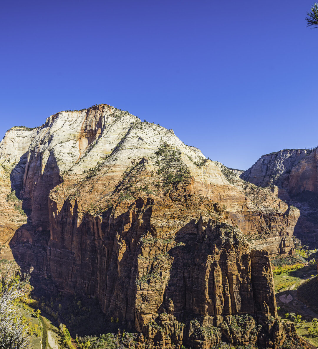 Rock Climbing Zion National Park - Guided Tours | 57hours