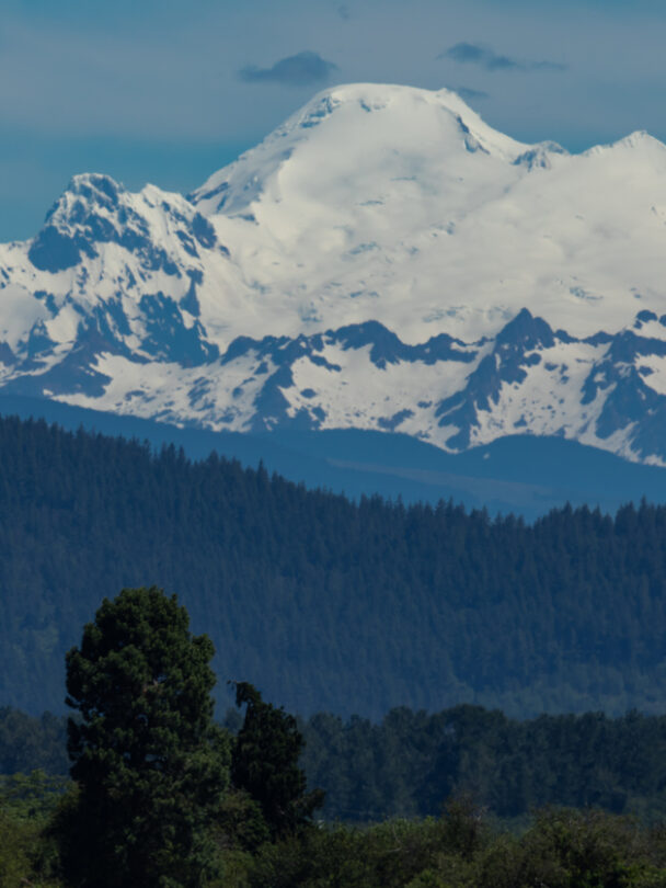 Climbing Denali West Rib Route With a Guide | 57hours