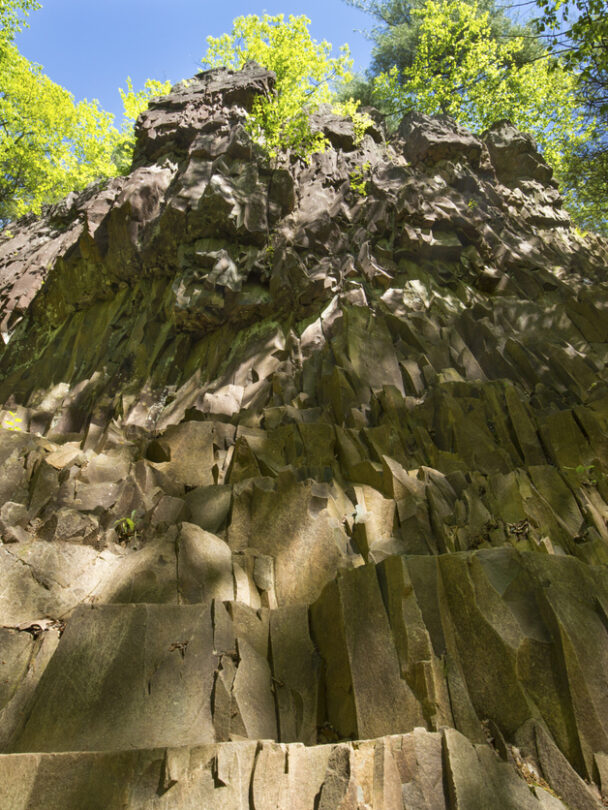 Climbing Denali West Rib Route With a Guide | 57hours