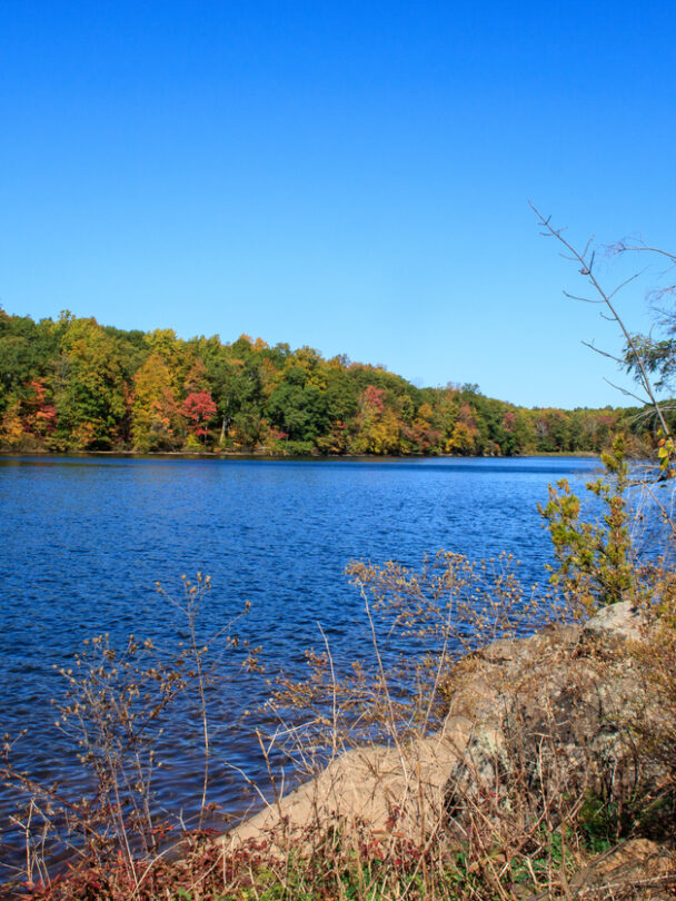 Climbing Denali West Rib Route With a Guide | 57hours