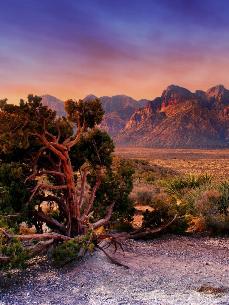 Red Rock Canyon Hiking Tour & Guided Summit | 57hours