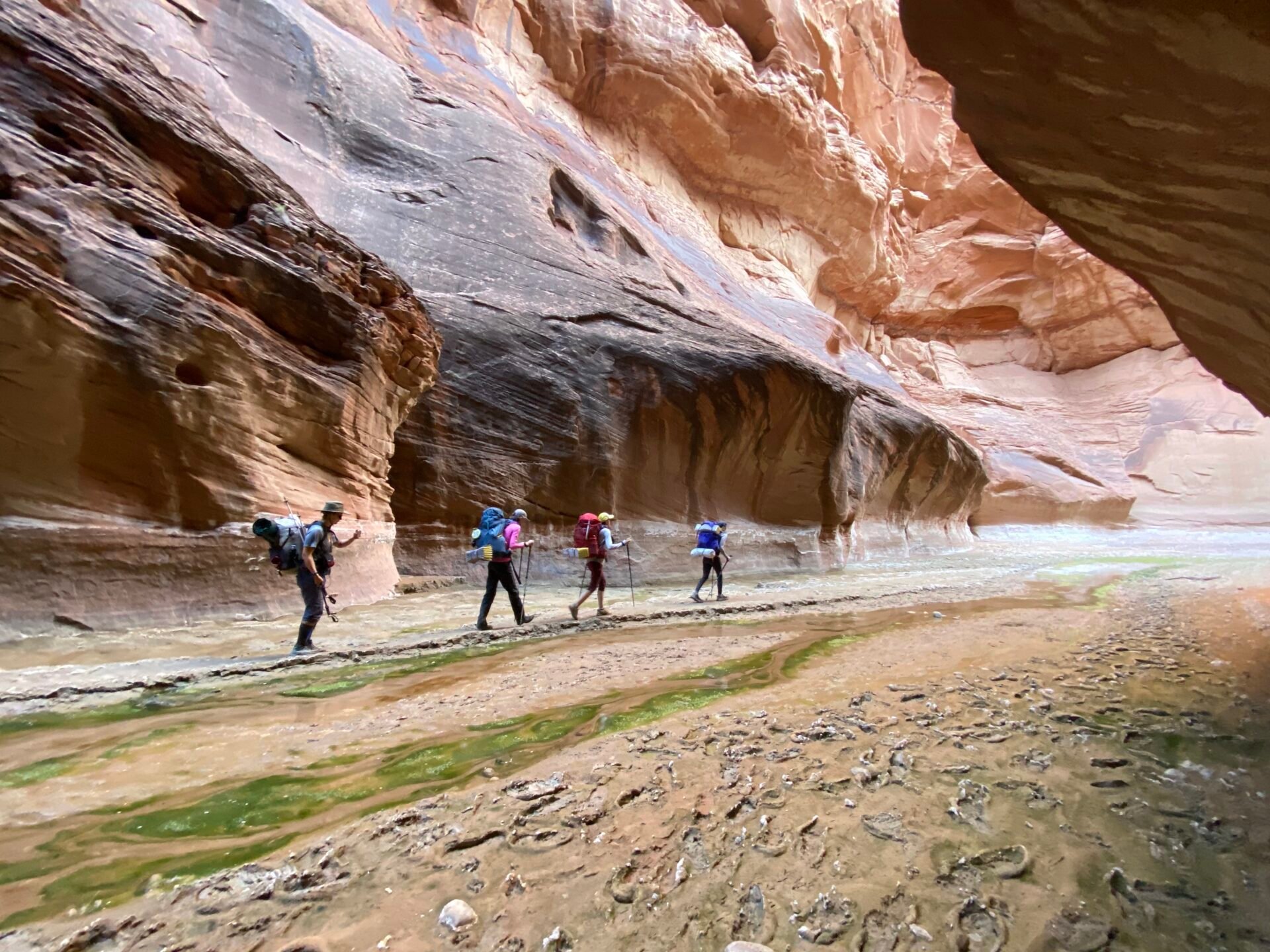 Hiking Paria Canyon, UT - Guided Women's Tour | 57hours