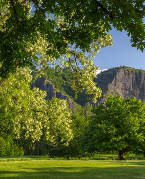 Guided Adventures in Rooster Rock State Park | 57hours