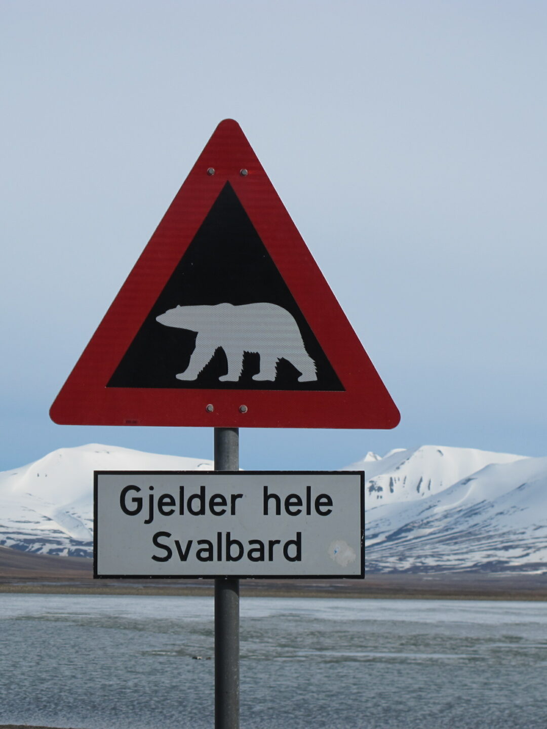 Sail and Explore Svalbard With a Guide | 57hours