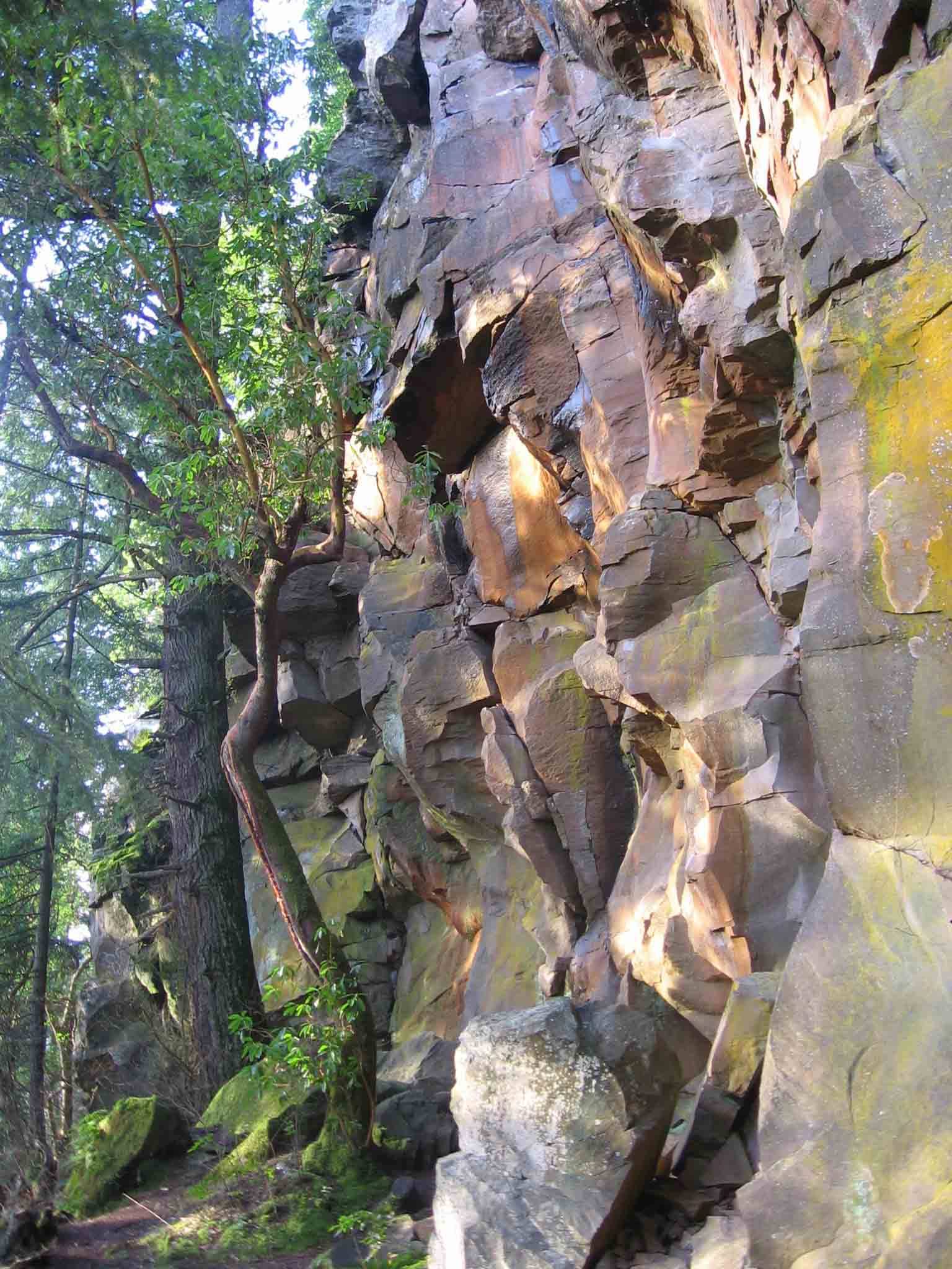 Local Guide Shares the 6 Best Spots for Climbing in Oregon