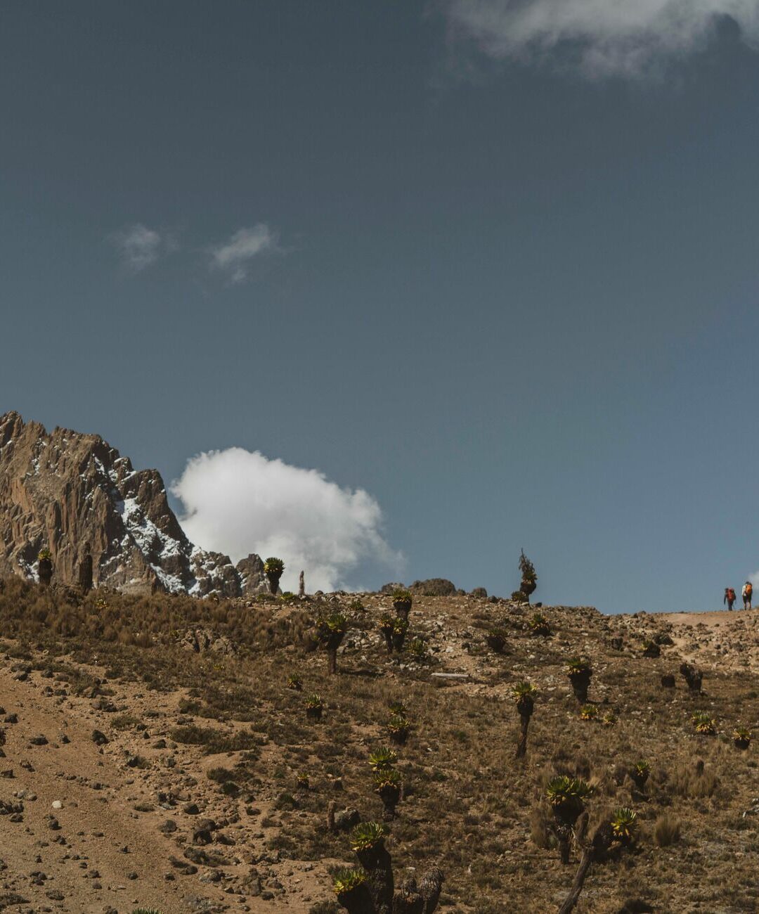 Guided Hiking on the Timau Route on Mt. Kenya | 57hours