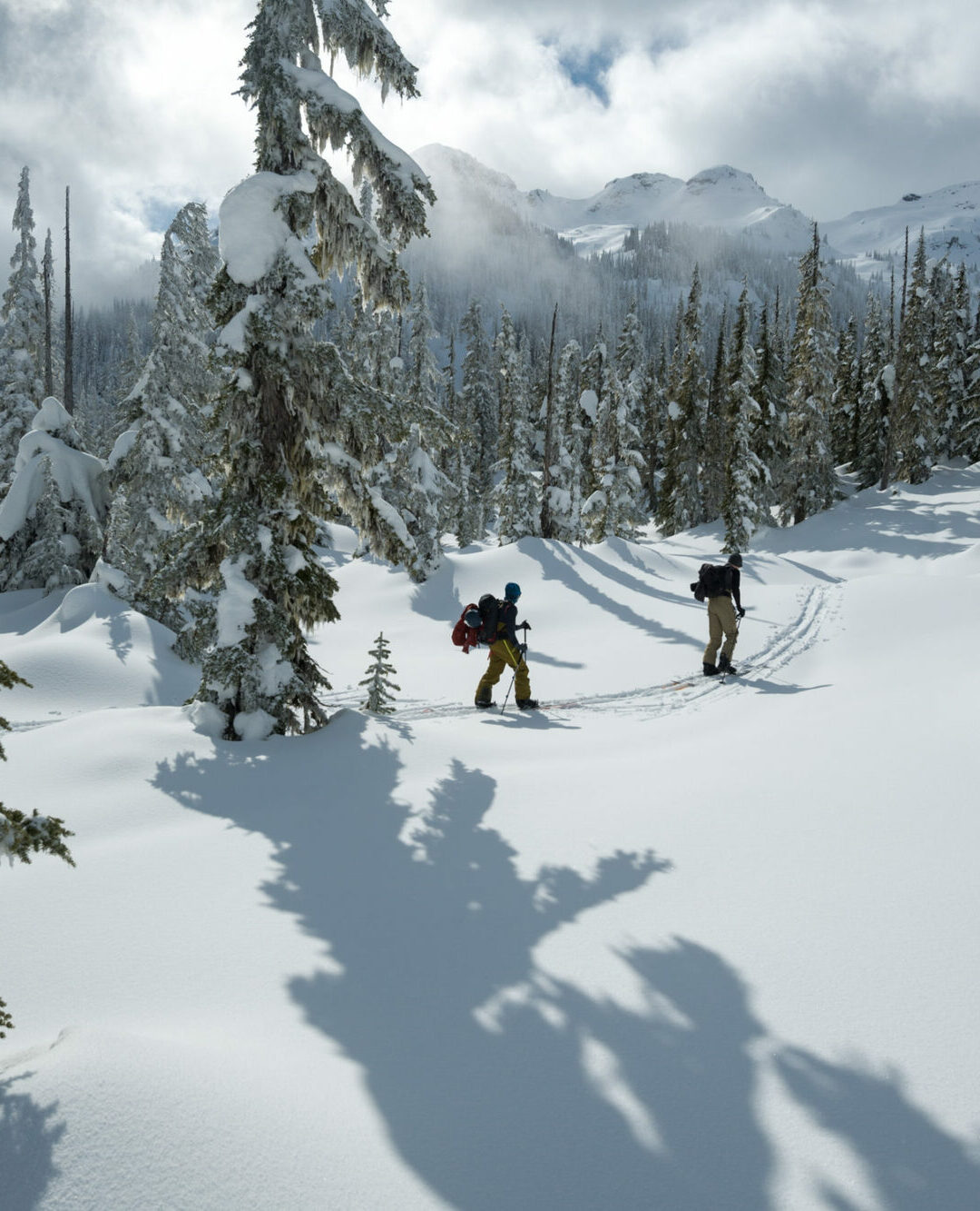 Guided Heli-Accessed Ski Touring, Tantalus Range | 57hours