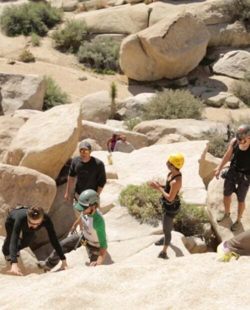 Joshua Tree Rock Climbing - Guided Tour | 57hours
