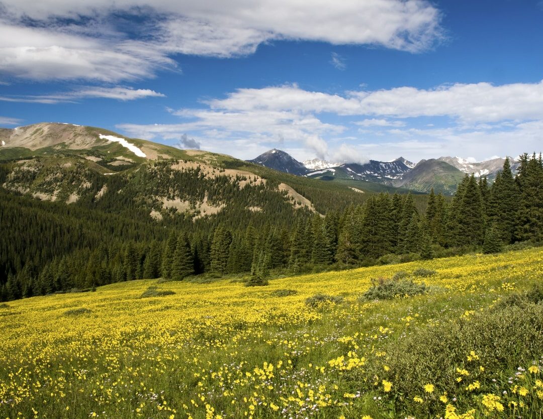 Hiking Summit County's Iconic Trails With a Guide | 57hours