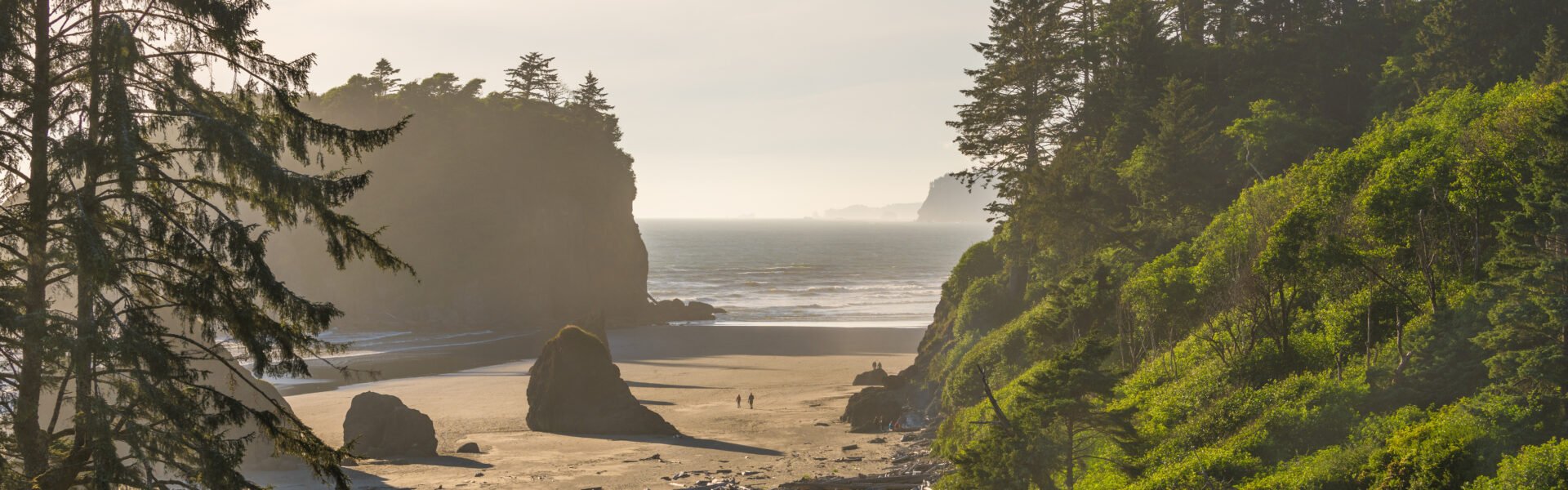 The Five Best Olympic National Park Hikes to See It All