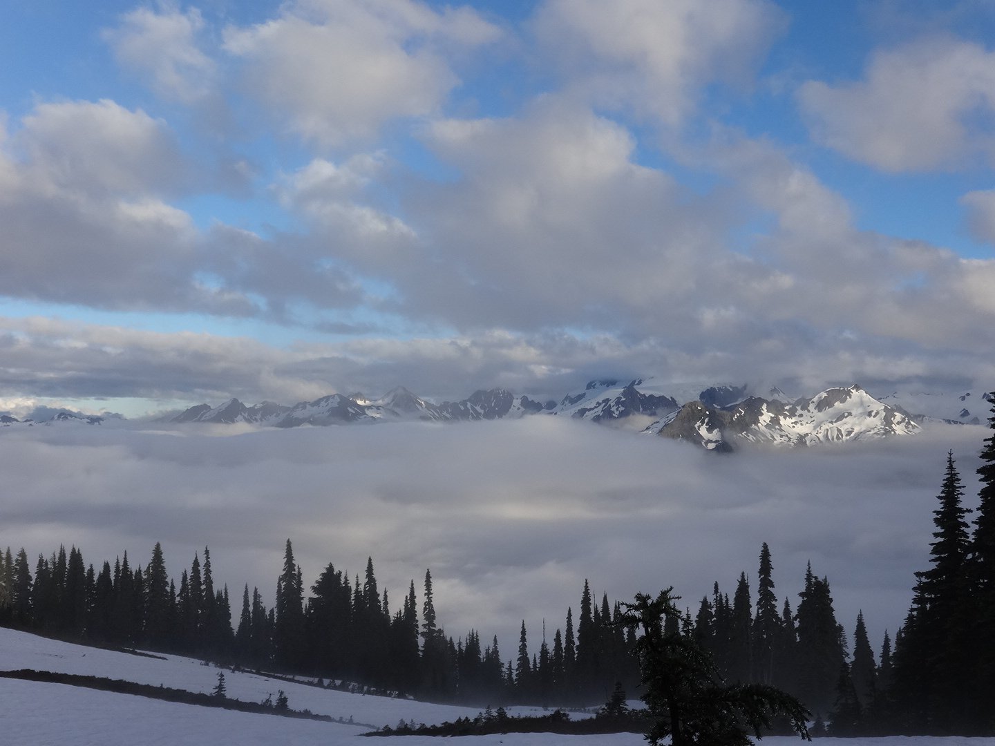 The Five Best Olympic National Park Hikes to See It All
