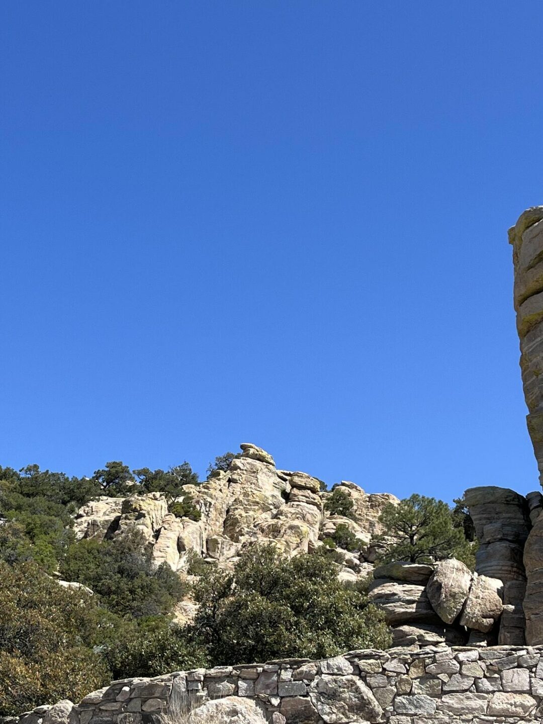 Guided Rock Climbing on Mt. Lemmon, Arizona | 57hours