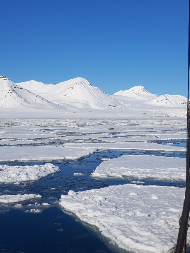 Guided Sea Kayaking Tour from Flam Beach, Norway | 57hours