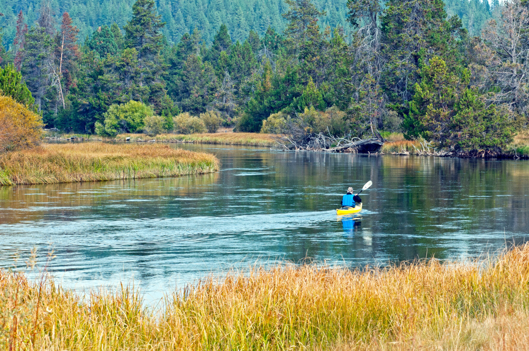 6 Best Places for Kayaking in Oregon: A Wild and Scenic Tour