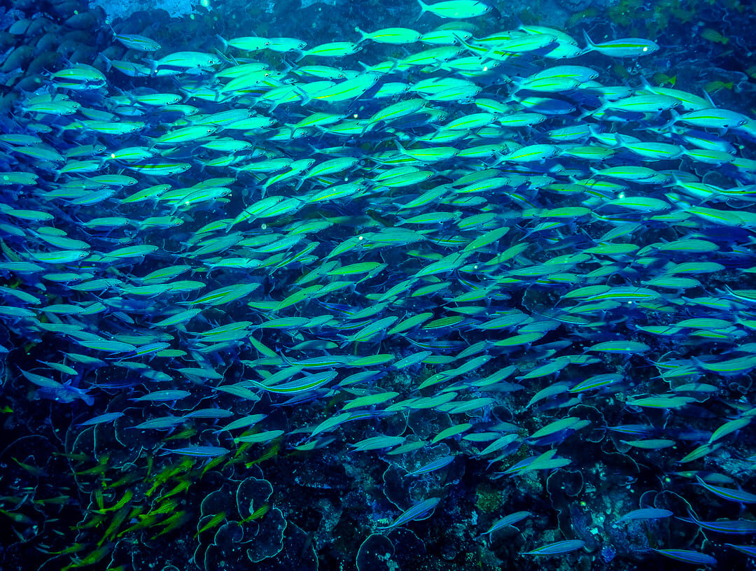 Guided Kayak & Multisport Adventure in Raja Ampat | 57hours