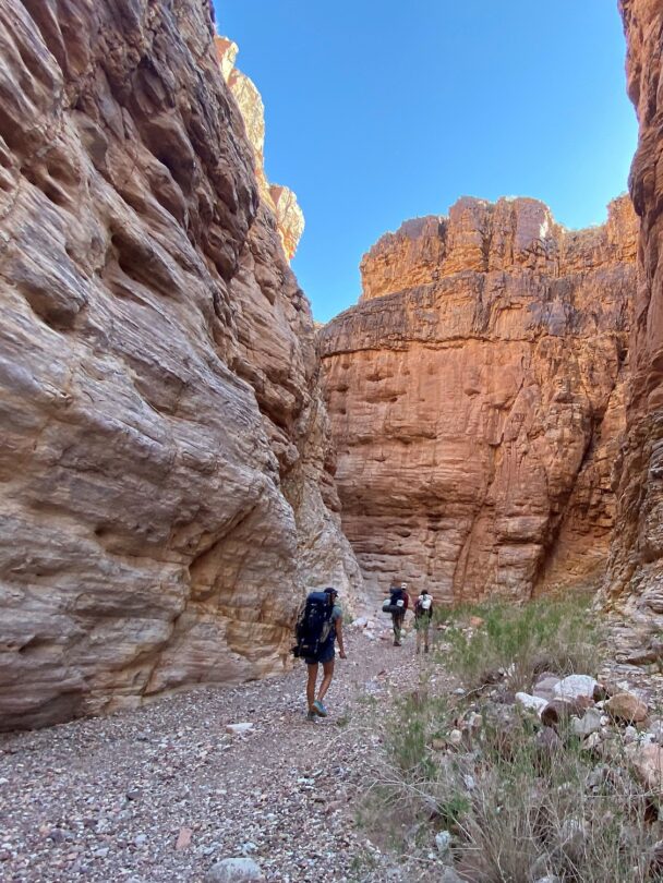 Women's Grand Canyon Rim-to-Rim Guided Tour | 57hours