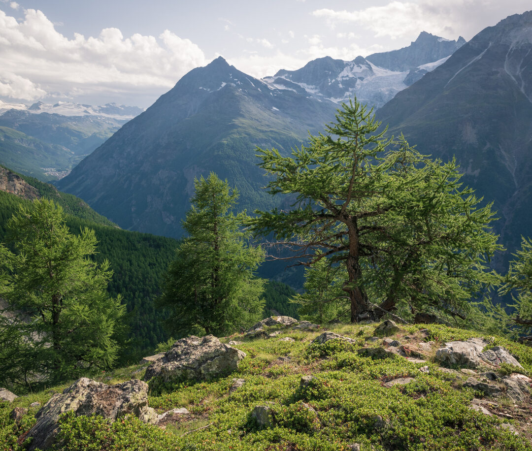 Guided Tour de Monte Rosa Hiking Adventure | 57hours