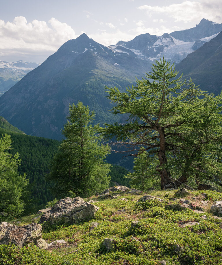 Guided Tour de Monte Rosa Hiking Adventure | 57hours