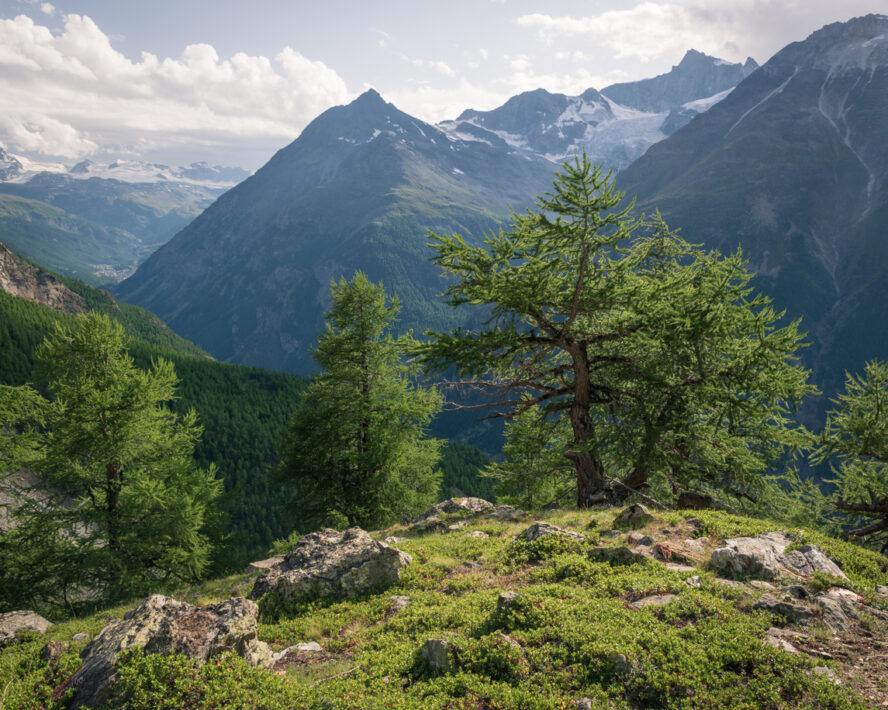 Guided Tour de Monte Rosa Hiking Adventure | 57hours