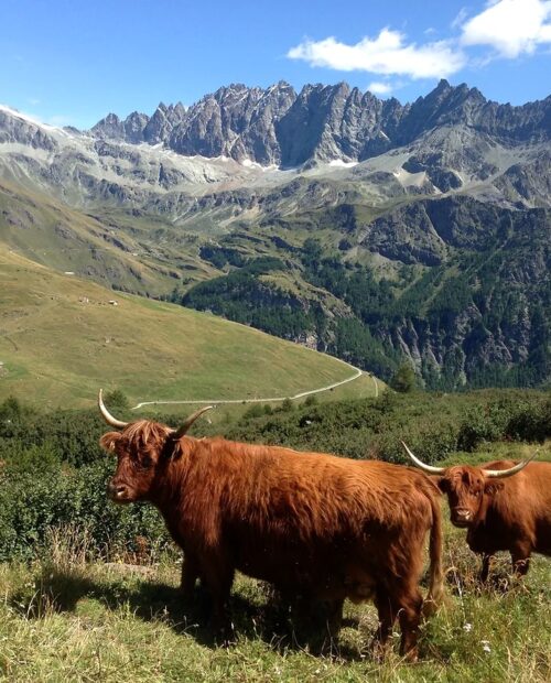 Tour des Combins Guided Trekking Trip | 57hours