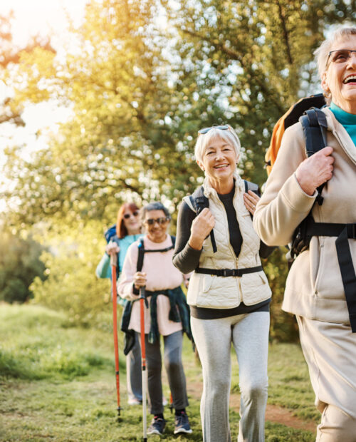 Guided Swiss Alps Women’s Hiking Adventure | 57hours