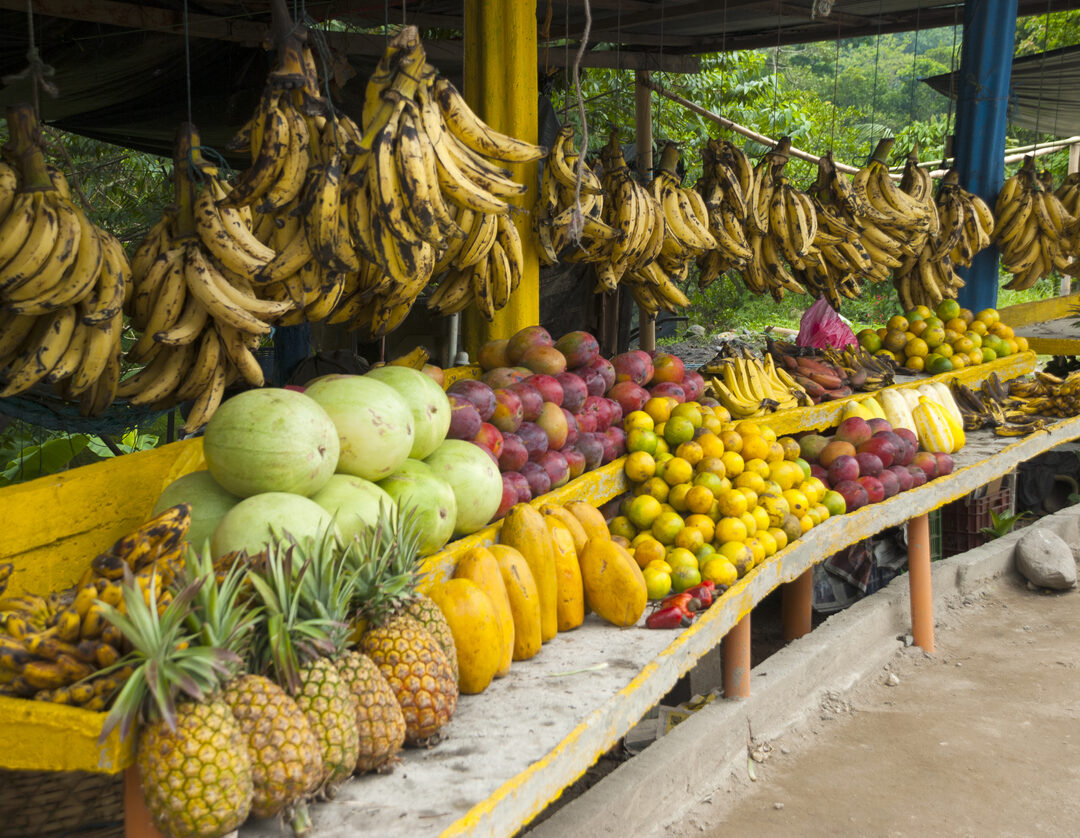 Tropics of Costa Rica Guided Adventure Holidays | 57hours